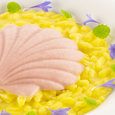 Il Mare - Naturae - Haute Cuisine - Professional